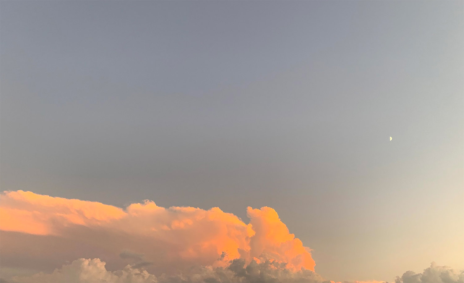 Lessons from Orphan X and His Ten Commandments - Peter Kang