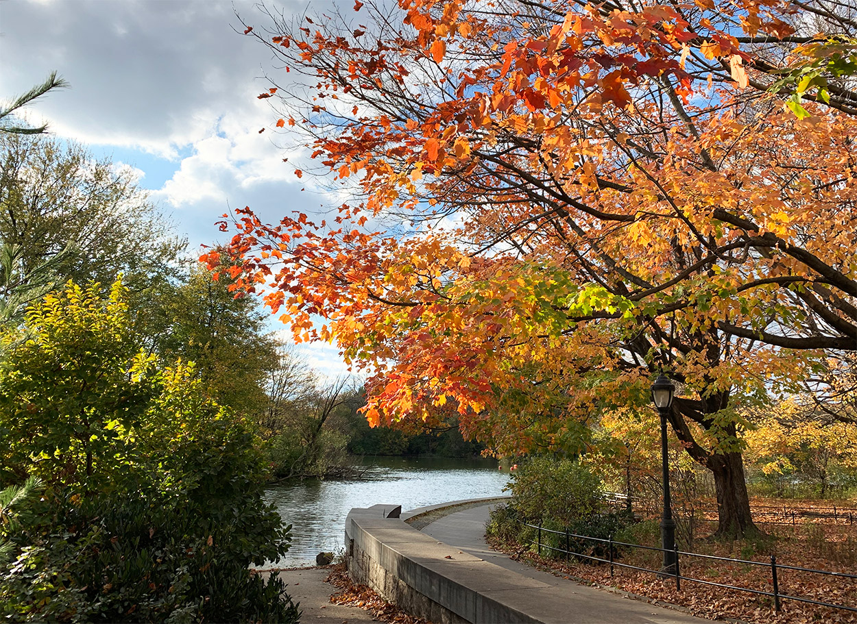 Lessons from Stillness is the Key by Ryan Holiday - Peter Kang