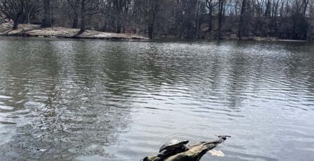 Lessons from Orphan X and His Ten Commandments - Peter Kang