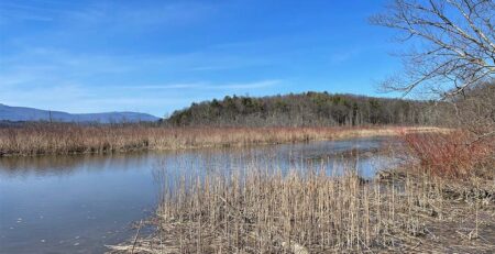 Lessons from Orphan X and His Ten Commandments - Peter Kang