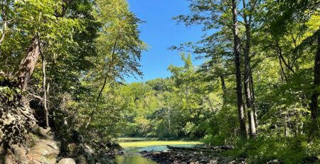 Lessons from Orphan X and His Ten Commandments - Peter Kang