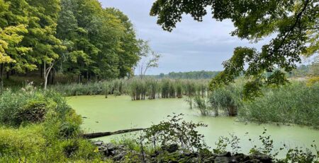 Lessons from Orphan X and His Ten Commandments - Peter Kang